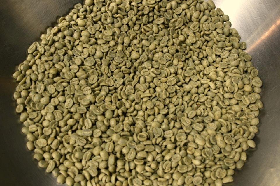 FORGE COFFEE | artisan coffee roasting